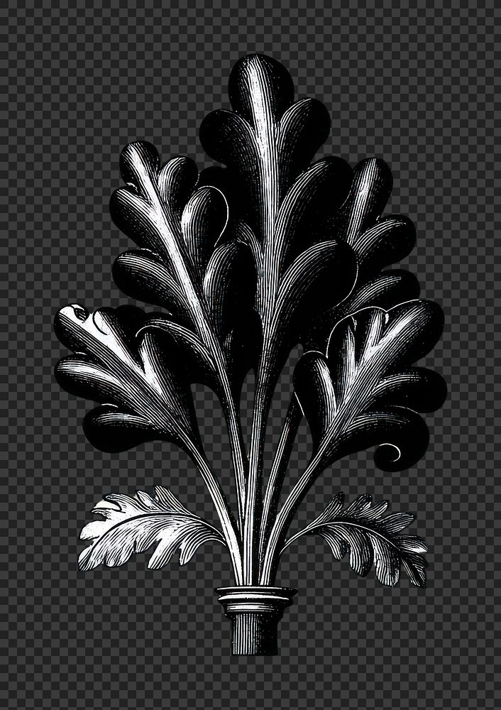 Vintage Engraved Transparent PNG Images | Free Photos, PNG Stickers ...