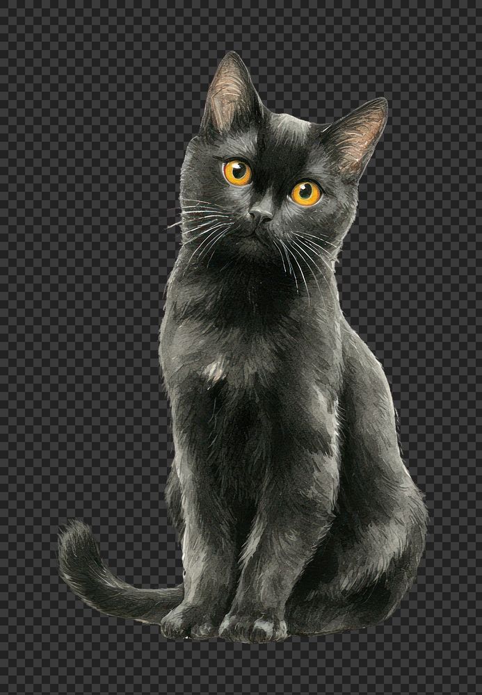 Cat+eyes Cute Images | Free Photos, PNG Stickers, Wallpapers ...