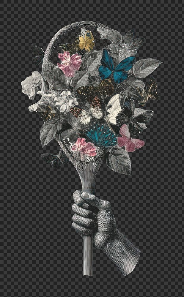 Vintage Butterfly Net Illustration Images | Free Photos, PNG Stickers ...