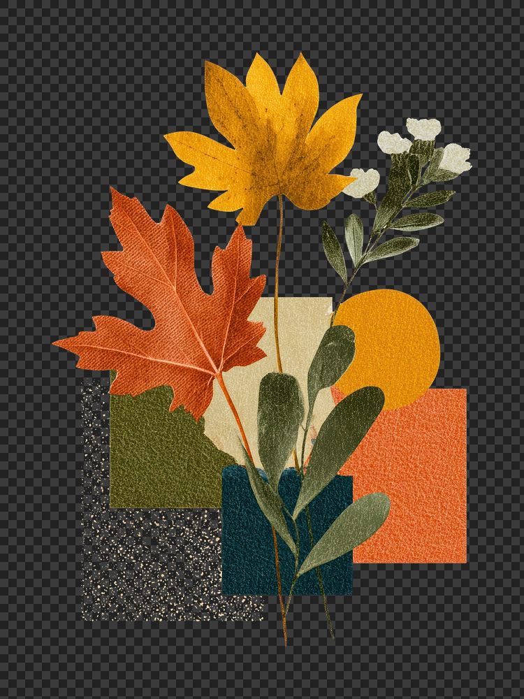 Maple+leafe+shape PNG Images | Free Photos, PNG Stickers, Wallpapers ...