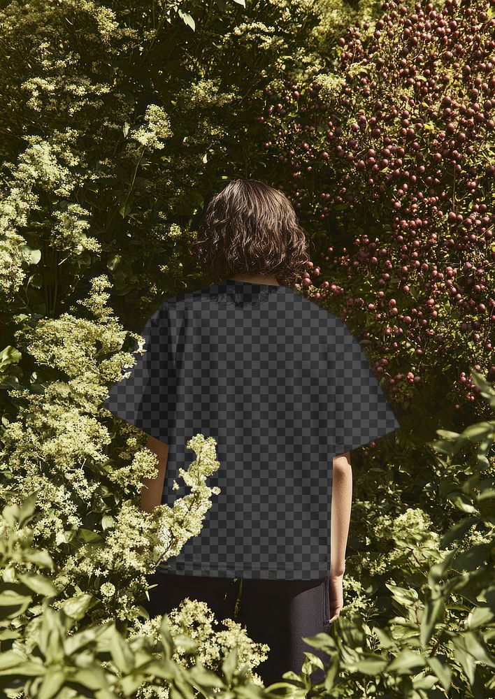 Transparent Herbs Leaf Images | Free Photos, PNG Stickers, Wallpapers ...