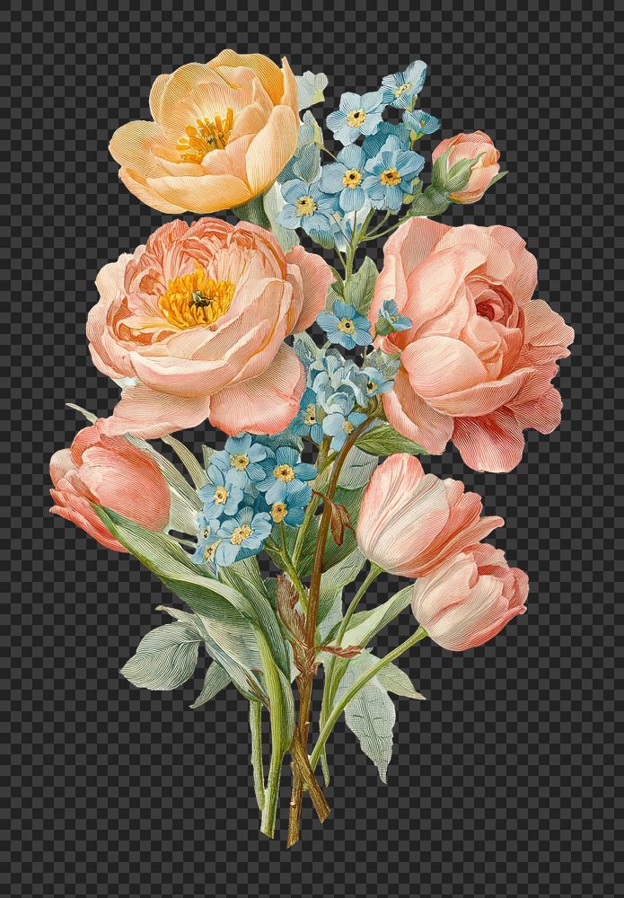 Peach+shadow+backgrounds Art Images | Free Photos, PNG Stickers ...