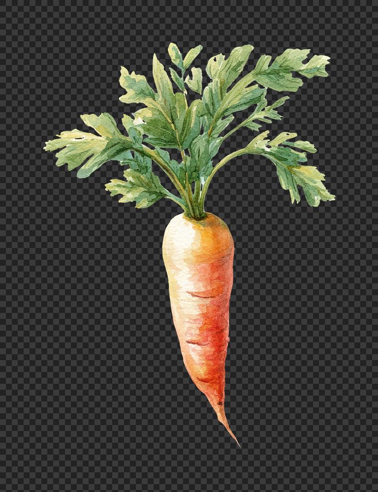 Paint Gradient Green Watercolor Shadow Texture Images | Free Photos ...