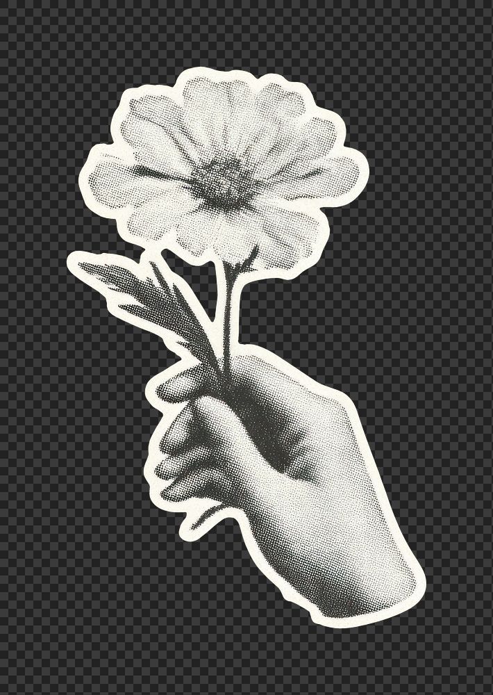 Sketch Drawings And Prints Illustration Flower Vintage Images | Free ...