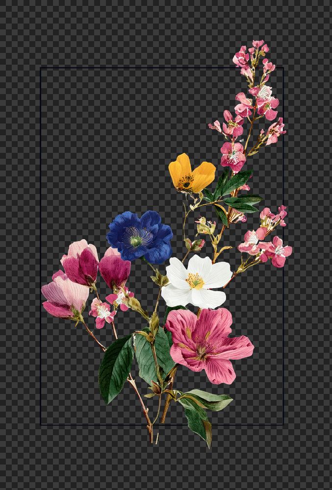 Beautiful Floral Frame Flowers Images | Free Photos, PNG Stickers ...