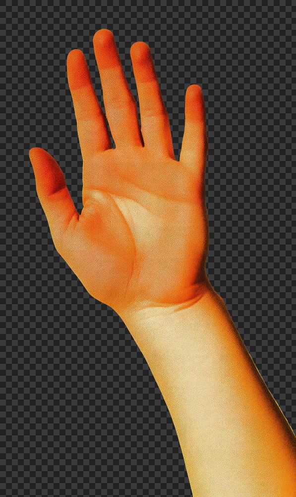 Stop+hand Gesture Images | Free Photos, PNG Stickers, Wallpapers ...