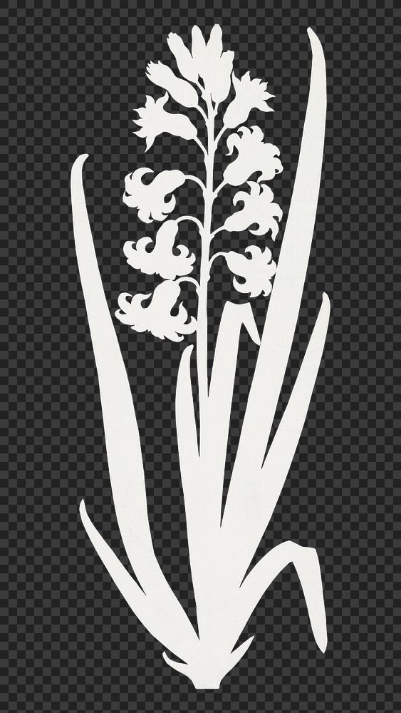 Black Flower Background Design Images | Download Free Design Resources ...