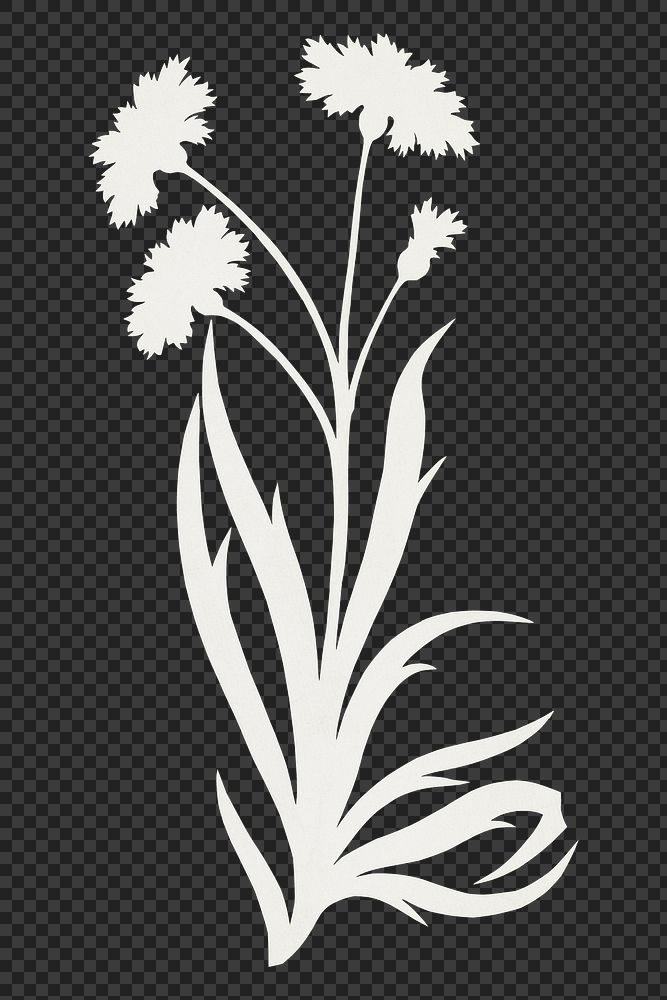 White+and+black++background Pattern Images | Free Photos, PNG Stickers ...