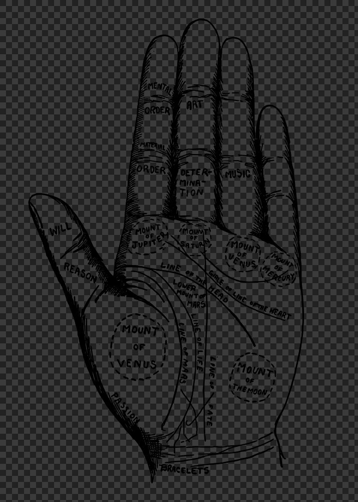 Palmistry Images | Free Photos, PNG Stickers, Wallpapers & Backgrounds ...