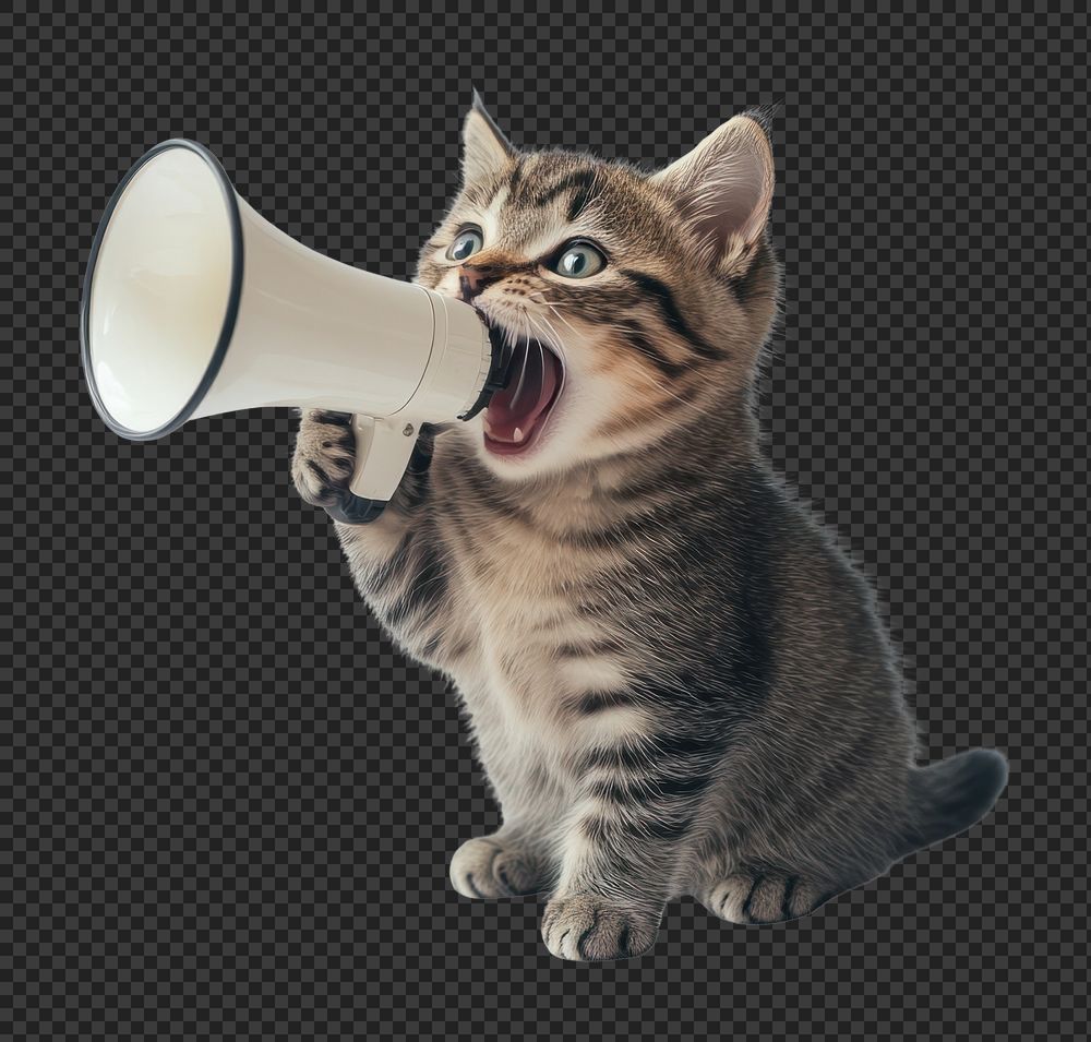 PNG Cat holding megaphone animal | Free PNG - rawpixel