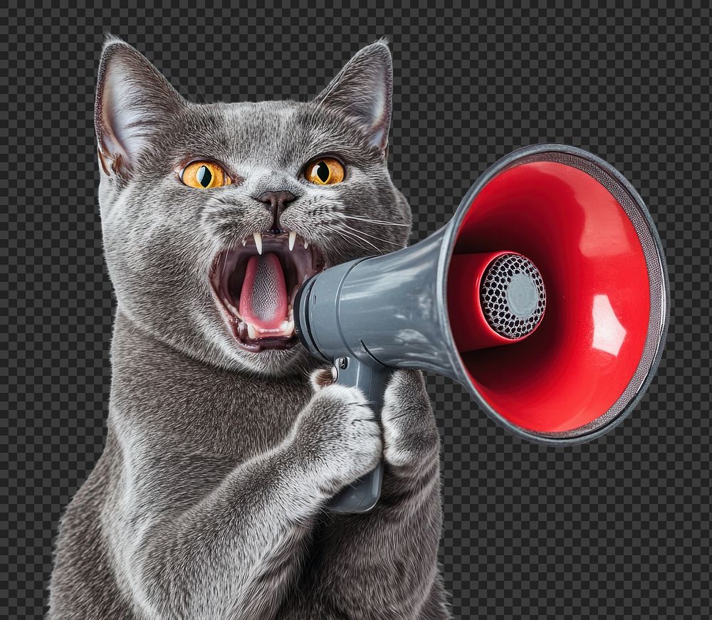 PNG Cat holding megaphone animal | Free PNG - rawpixel