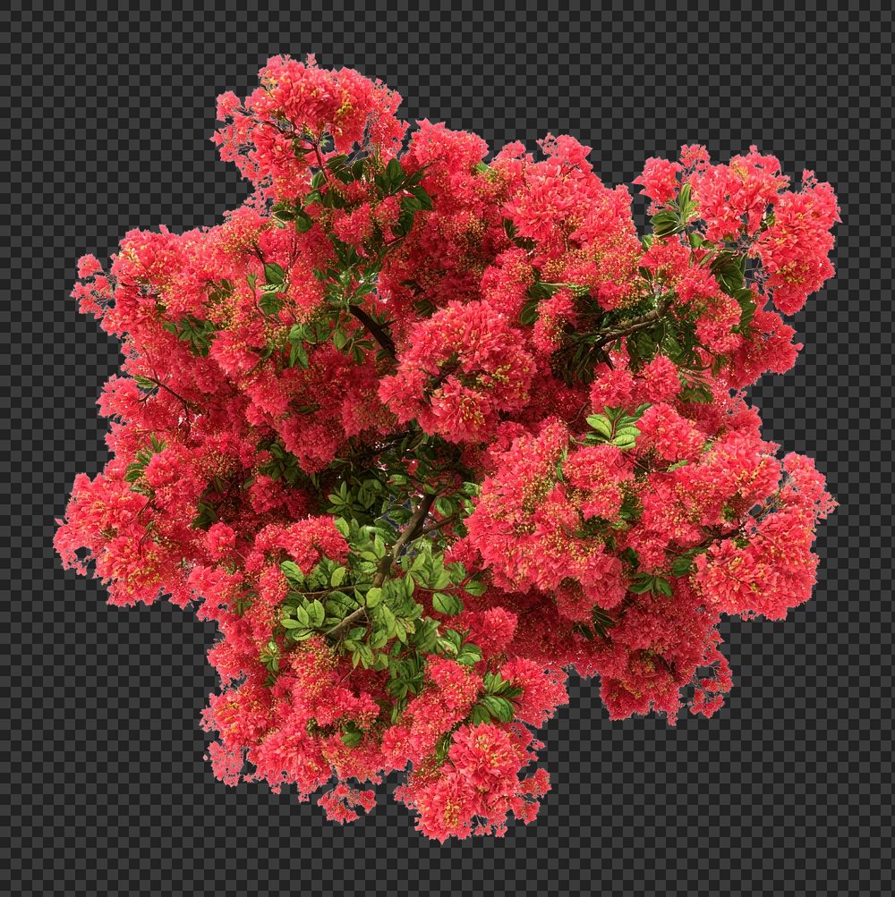 PNG Blooming red flower tree | Free PNG - rawpixel