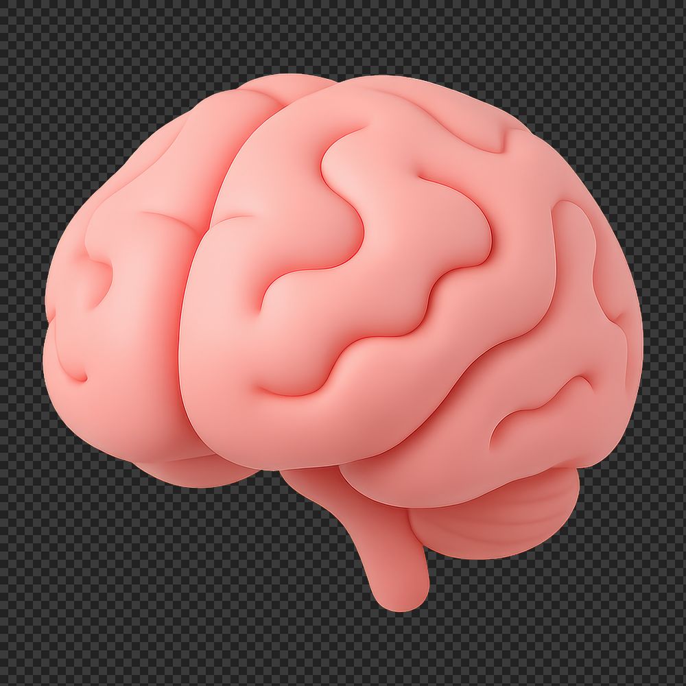 PNG Detailed pink brain illustration | Free PNG - rawpixel