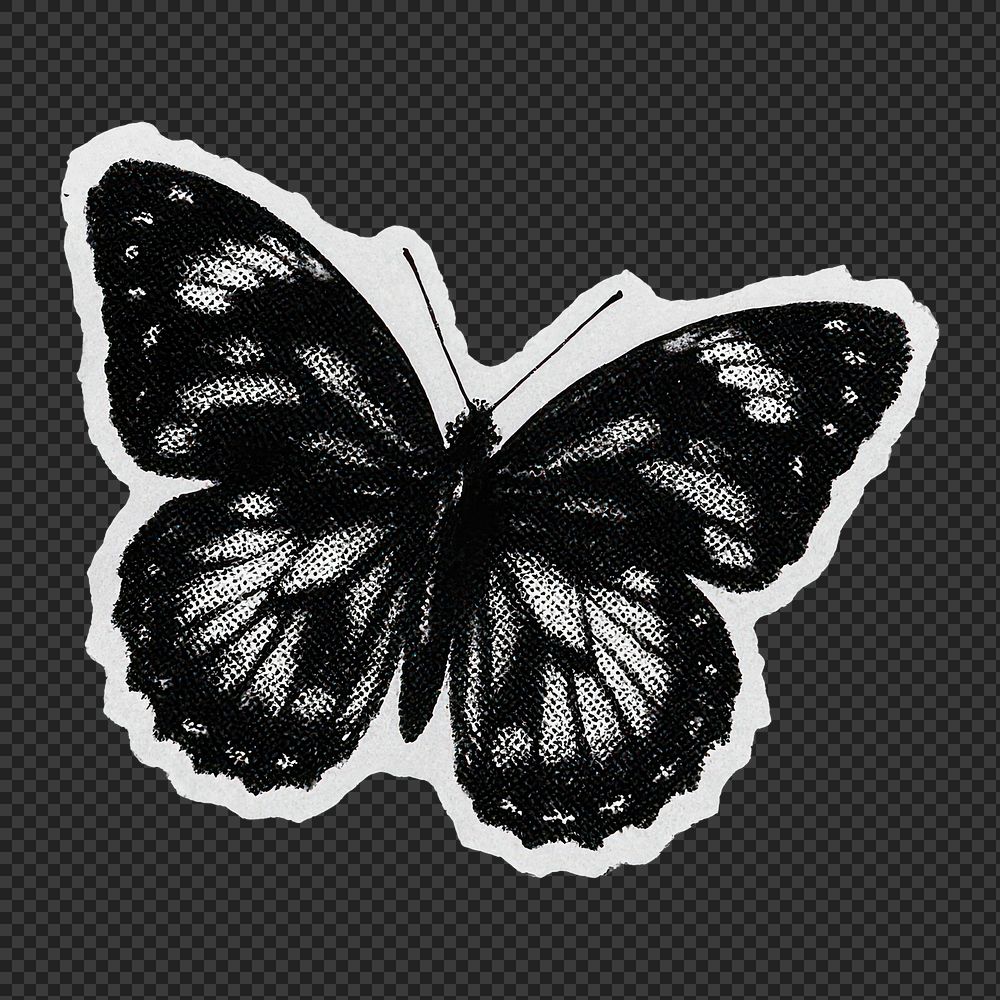 White Sticker PNG Images | Free Photos, PNG Stickers, Wallpapers ...