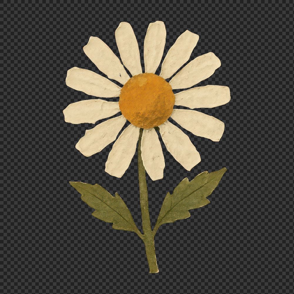 PNG Handcrafted daisy paper art | Free PNG - rawpixel