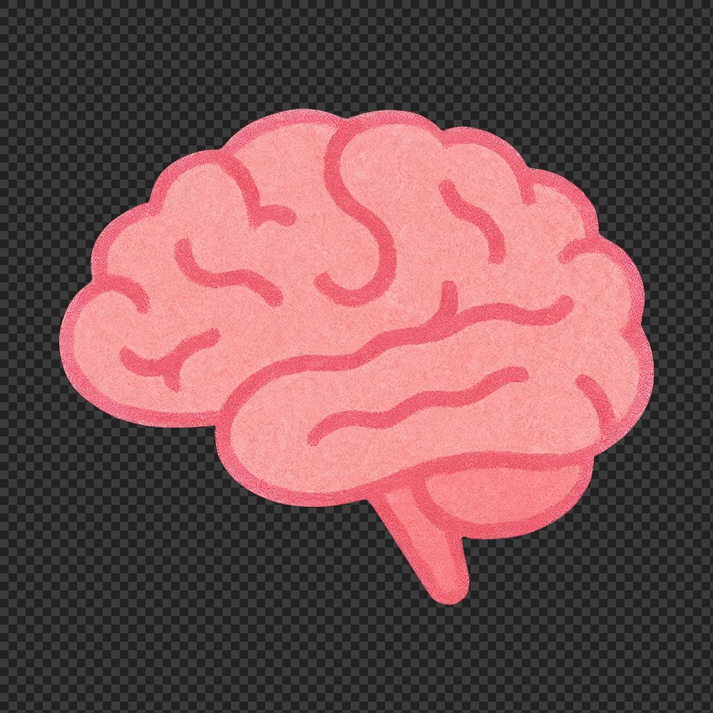 PNG Pink brain illustration art | Free PNG - rawpixel