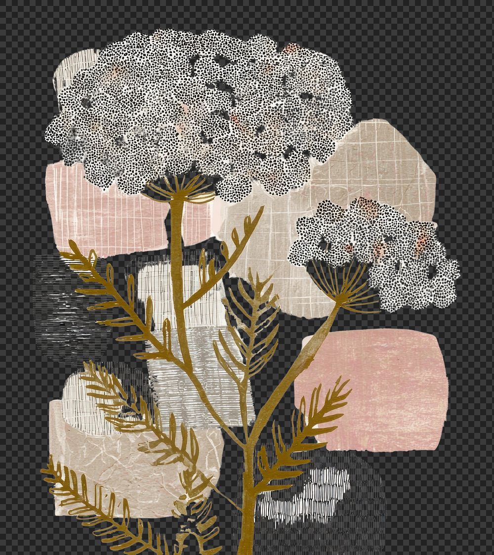 PNG Yarrow flower art illustration | Free PNG - rawpixel