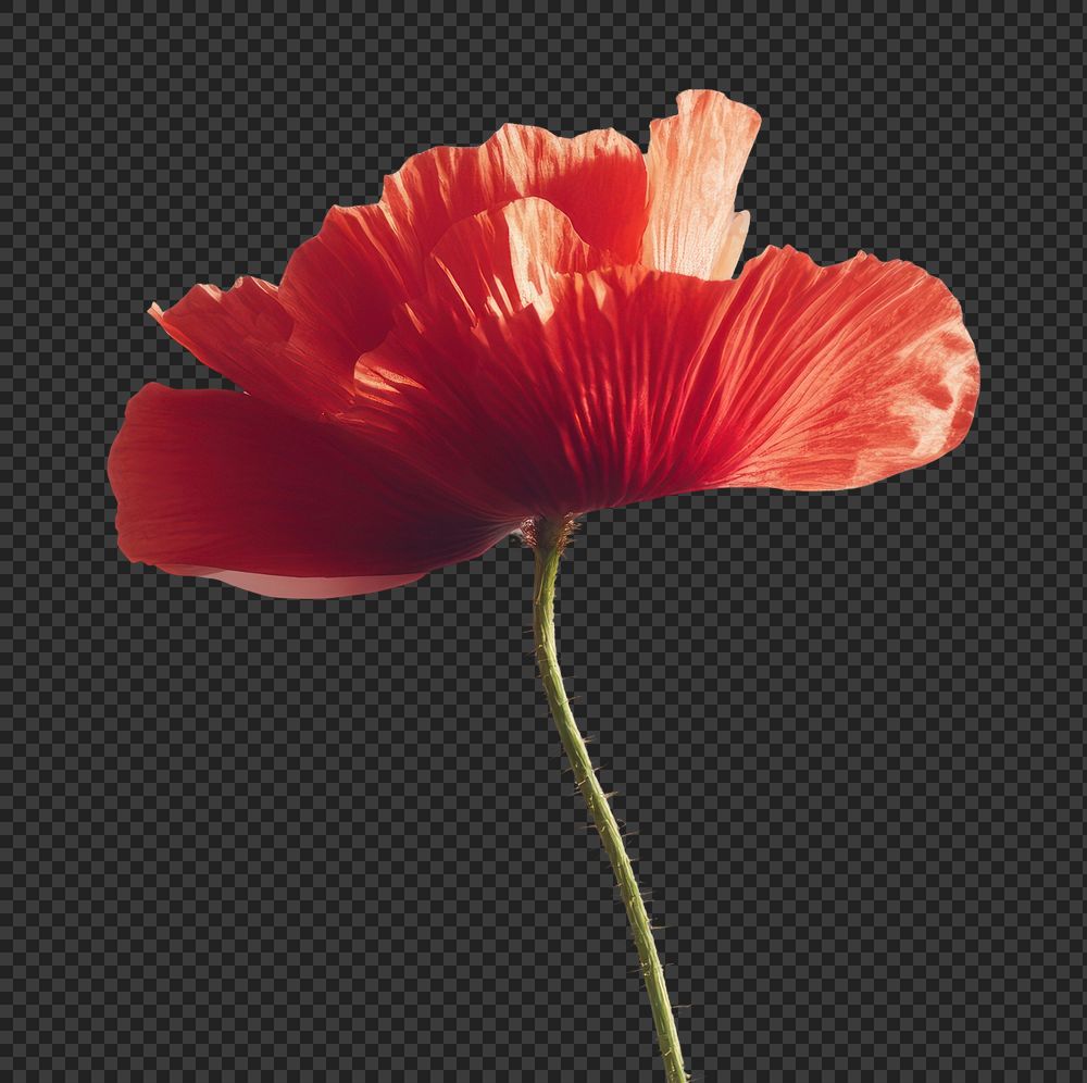 Ombre Red Background Art Images | Free Photos, PNG Stickers, Wallpapers ...