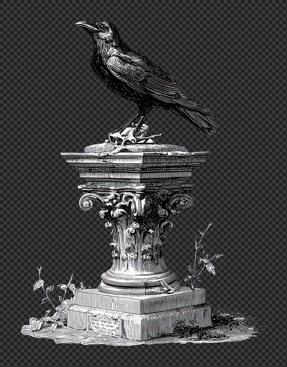 PNG Bird skeleton illustration drawing | Free PNG - rawpixel