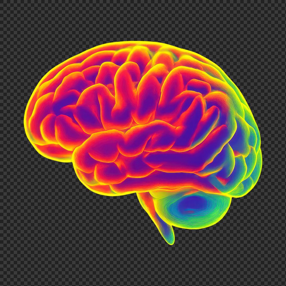 PNG Colorful brain illustration PNG | Free PNG - rawpixel