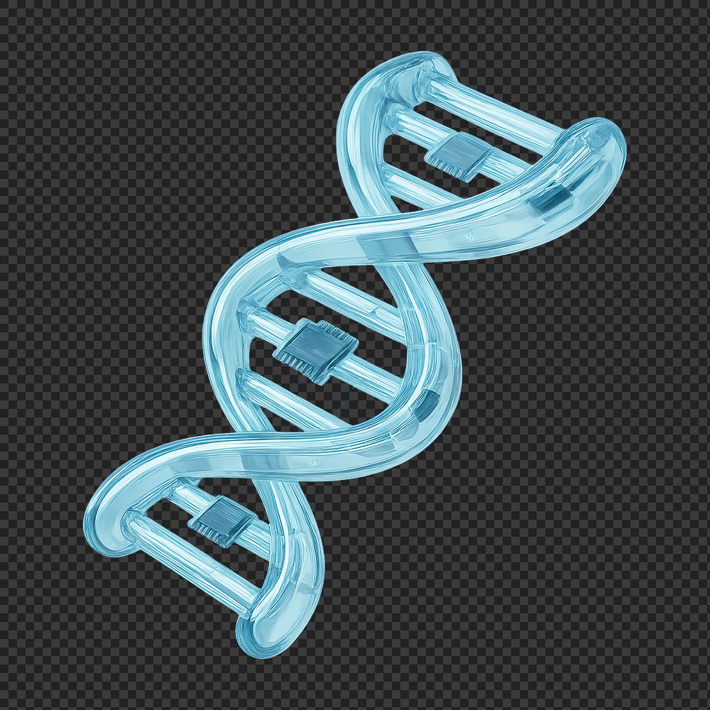 Genetic PNG Images | Free Photos, PNG Stickers, Wallpapers ...