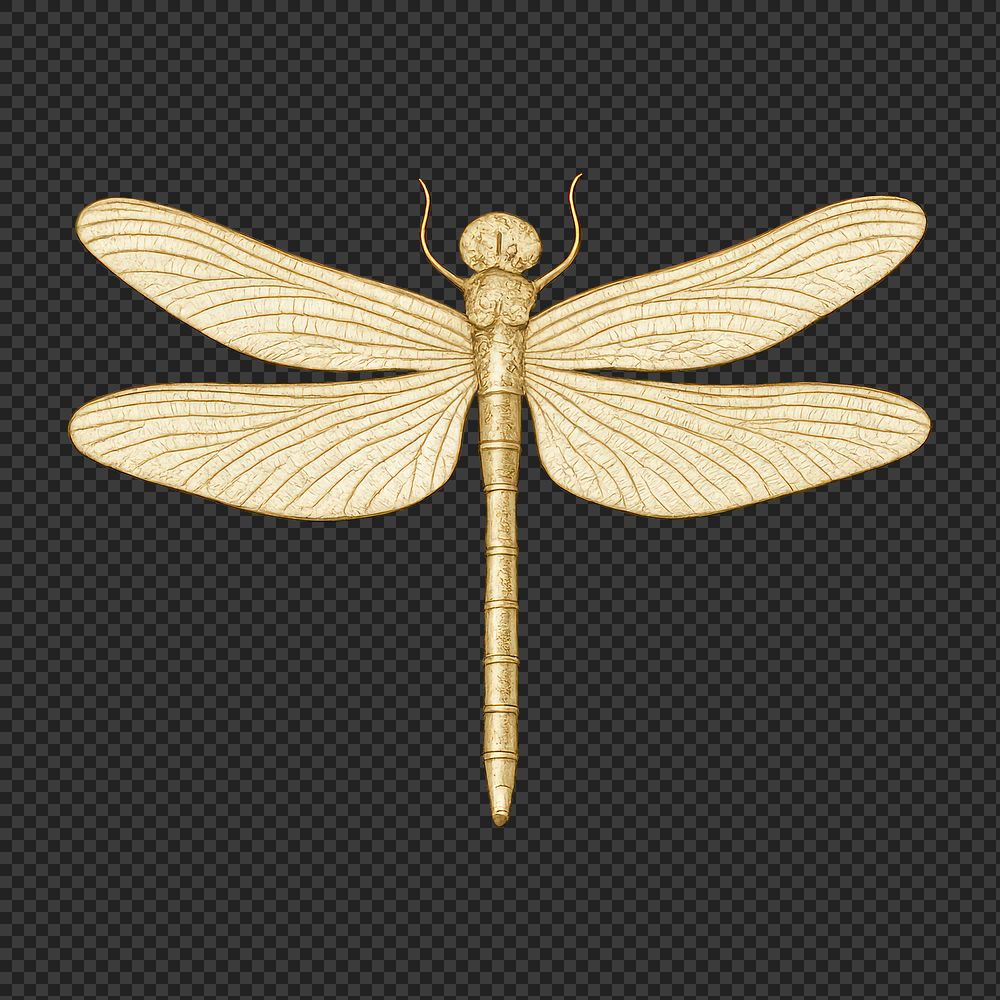 PNG Intricate golden dragonfly illustration | Free PNG - rawpixel