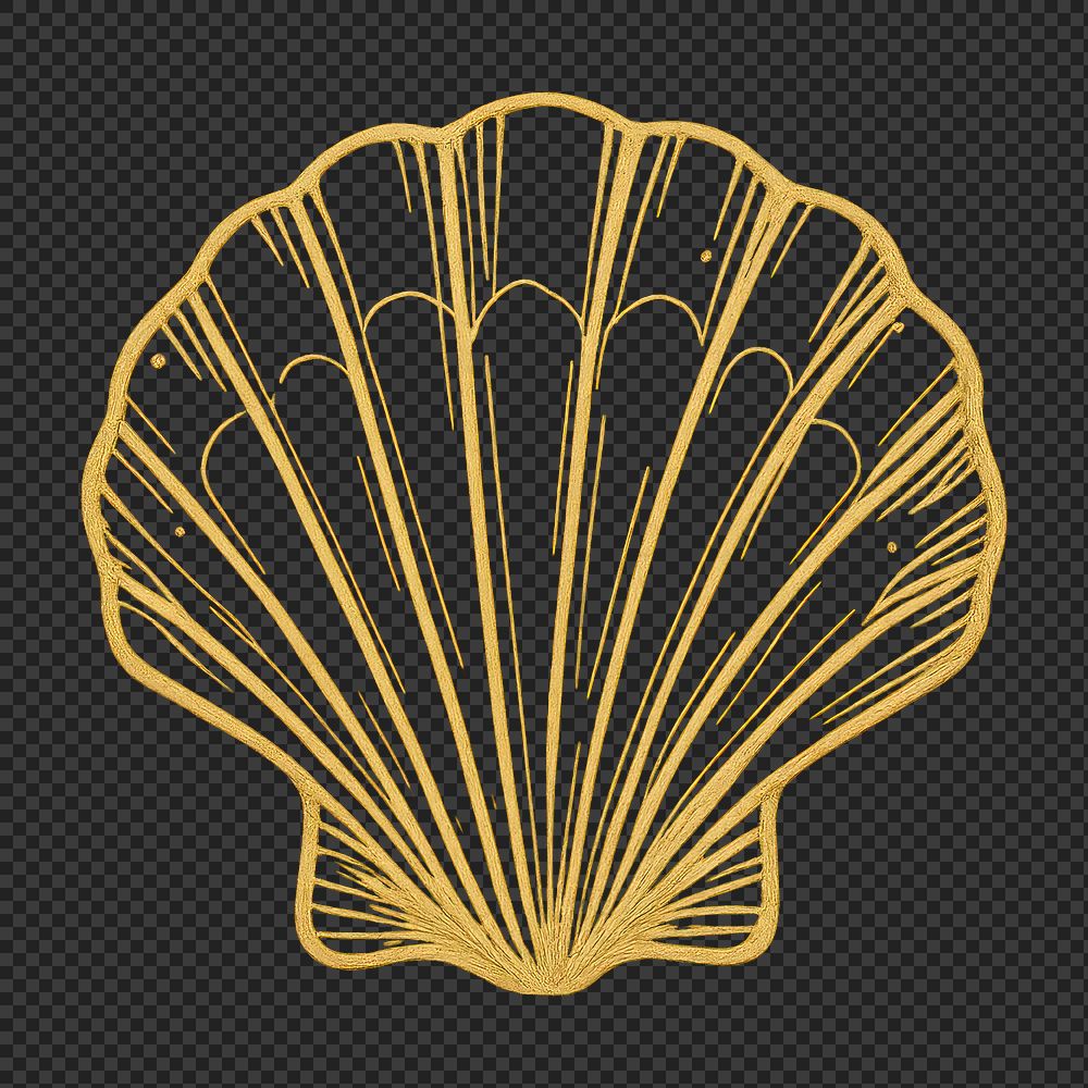 PNG Golden seashell line art | Free PNG - rawpixel