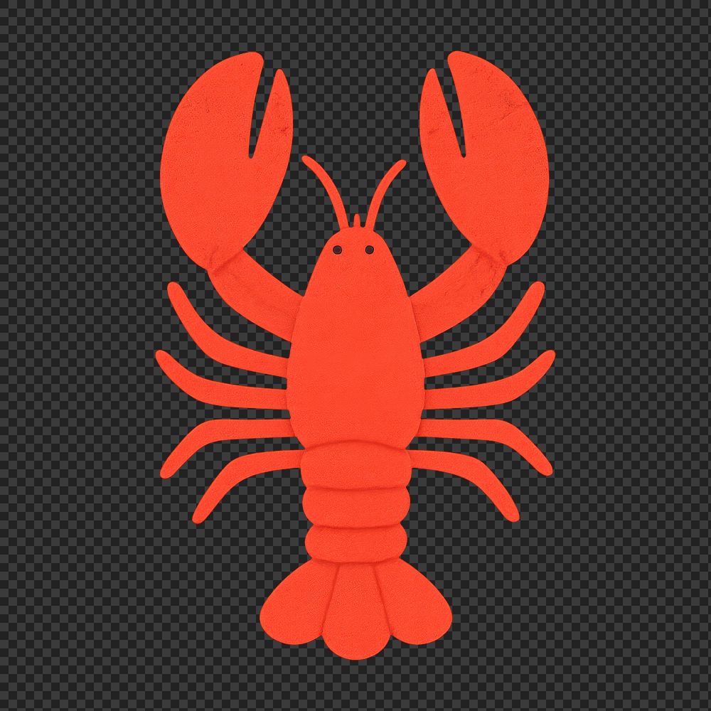 Transparent Lobster Shadow Food Animal Texture Images | Free Photos ...