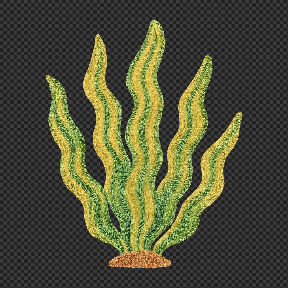 Smoking+leaf Plant Texture Images | Free Photos, PNG Stickers ...