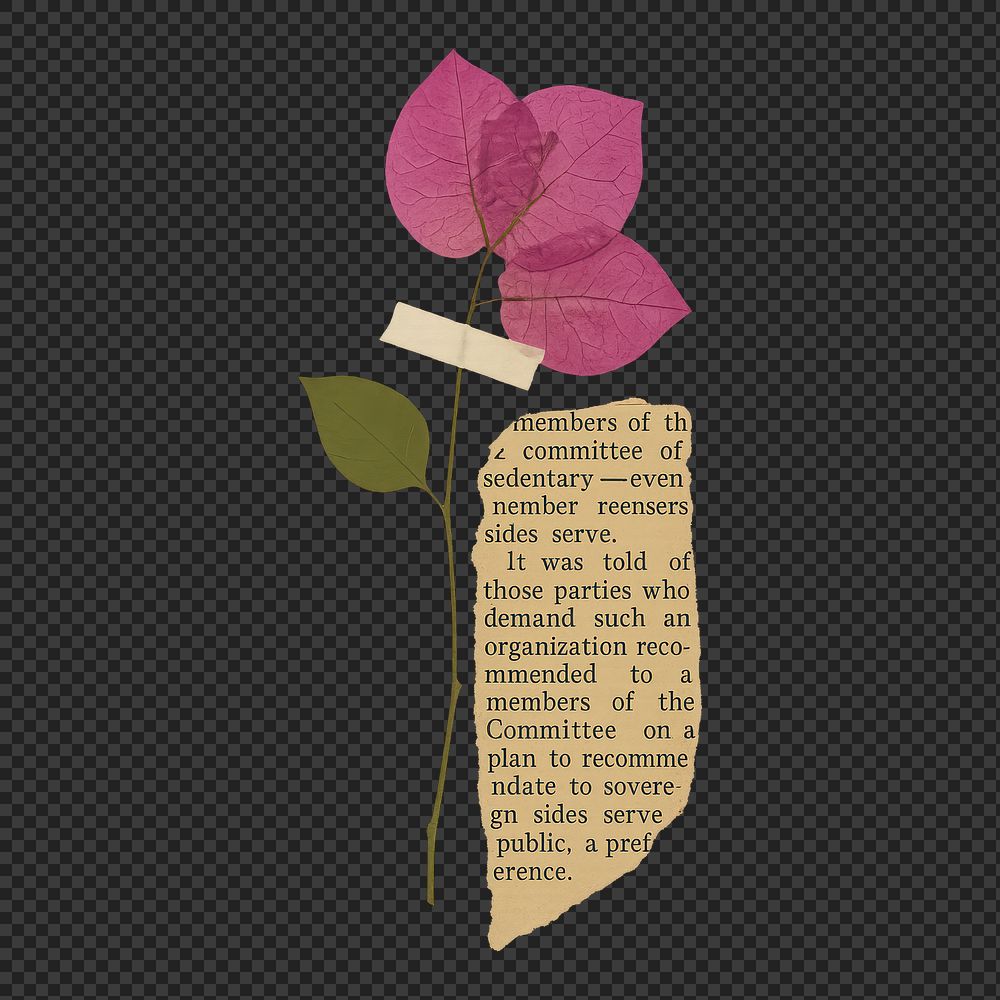 Pink Tape Aesthetic PNG Images | Free Photos, PNG Stickers, Wallpapers ...