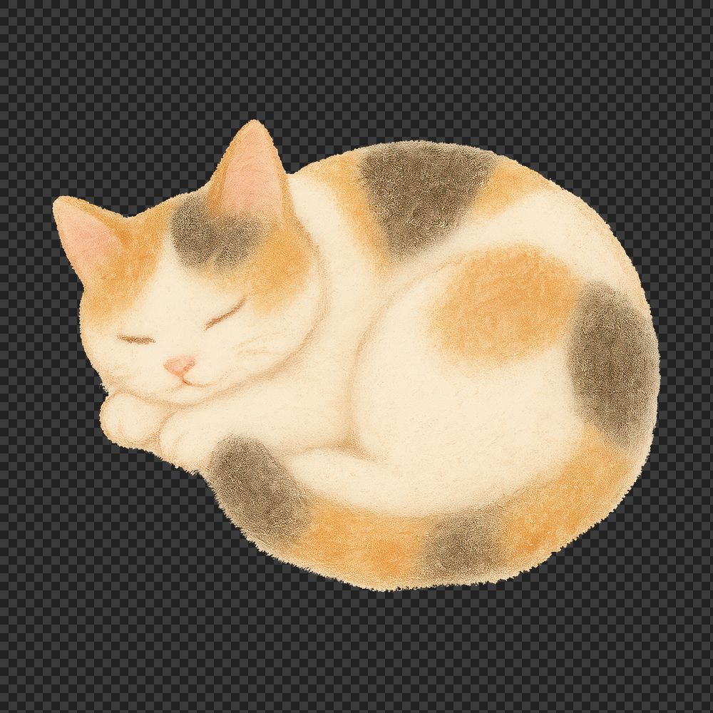Transparent Cats PNG Images | Free Photos, PNG Stickers, Wallpapers ...