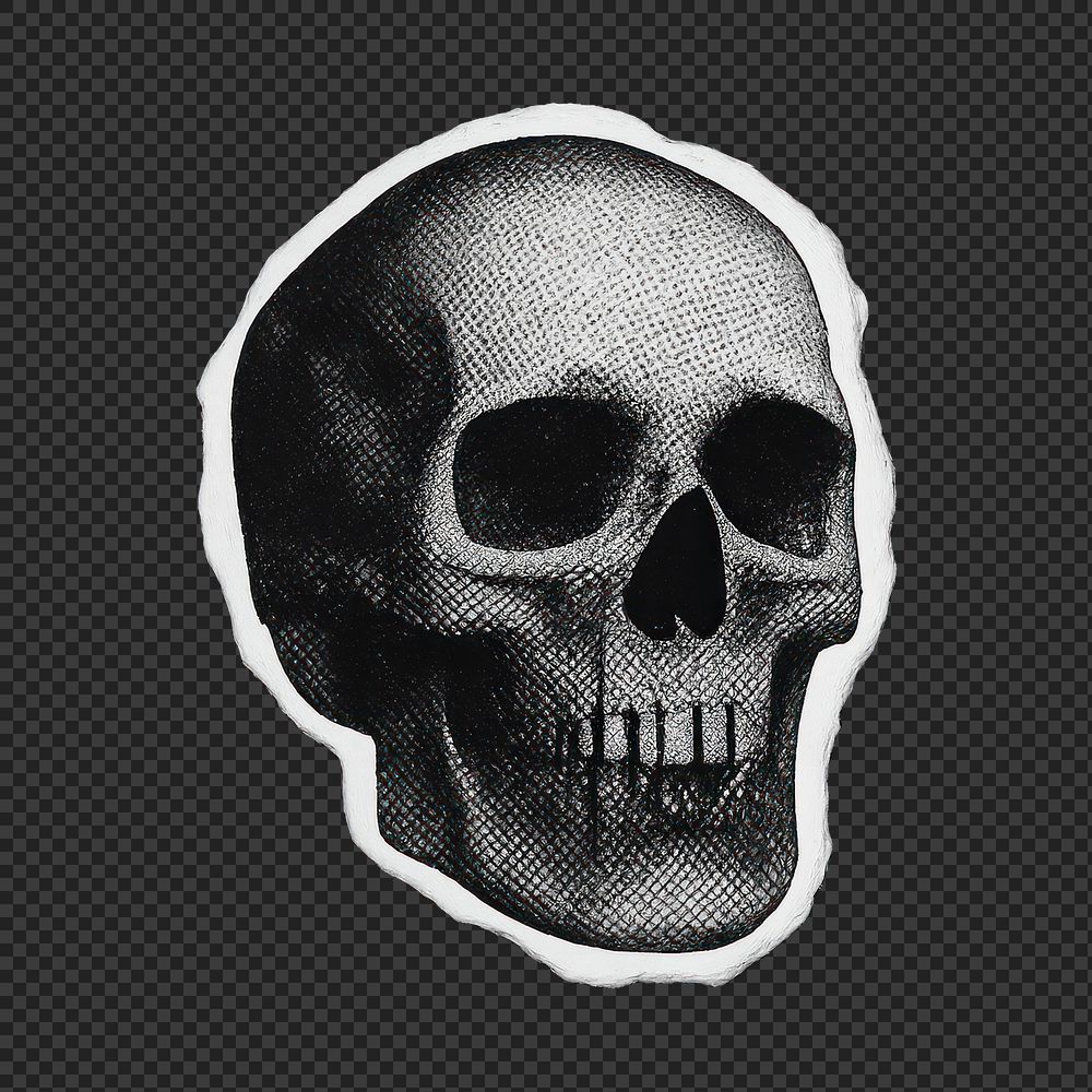 Realistic Skull PNG Images | Free Photos, PNG Stickers, Wallpapers ...