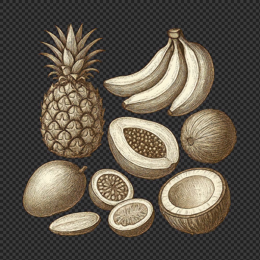 Papaya Fruit Shadow Images | Free Photos, PNG Stickers, Wallpapers ...