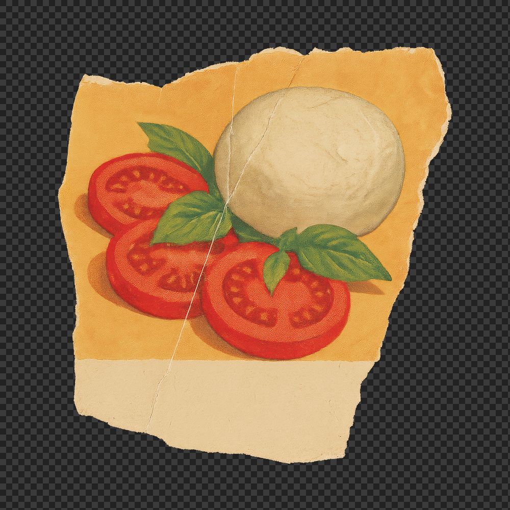 Basilic PNG Leaf Shadow Background Aesthetic Images | Free Photos, PNG ...