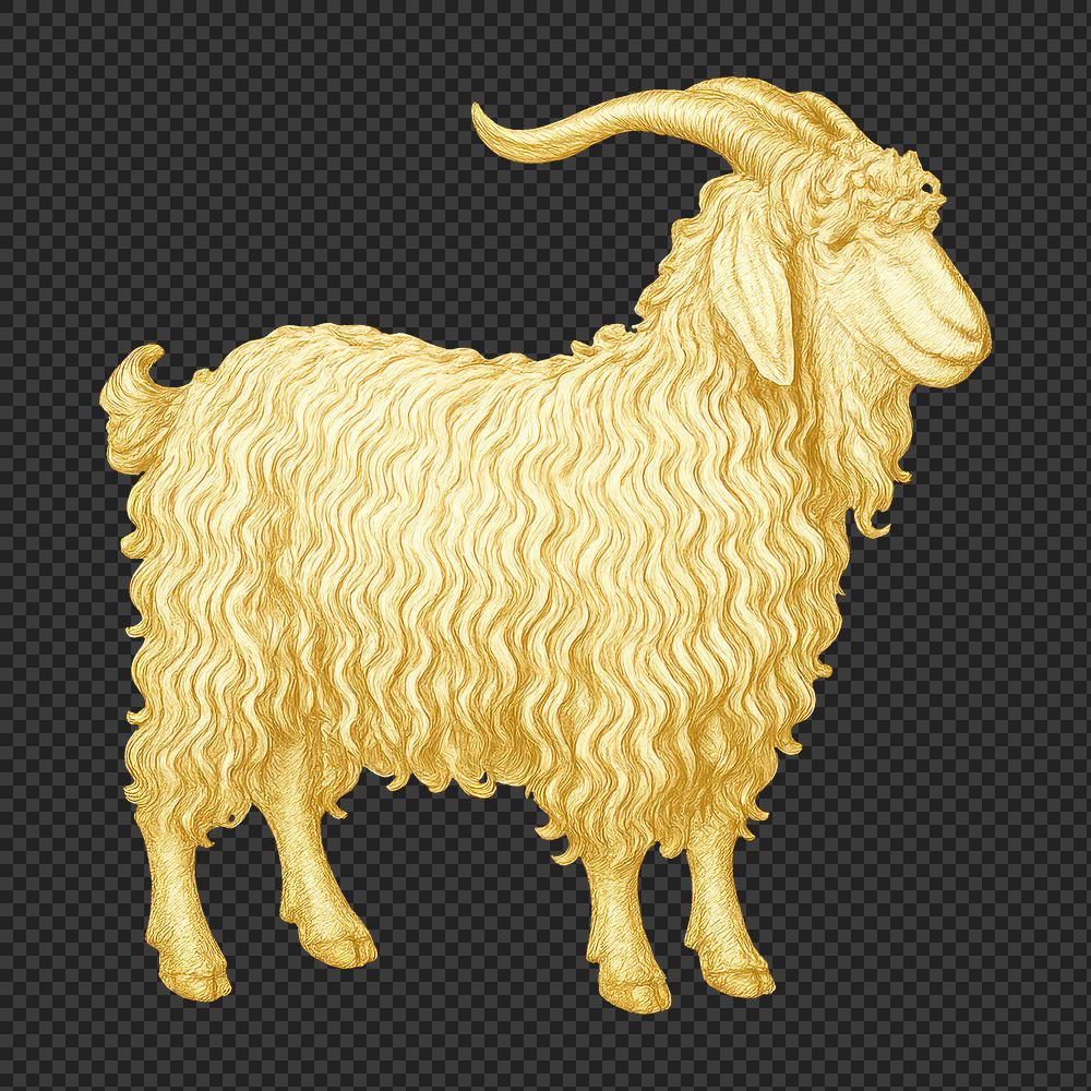 Goat Drawing Color Texture Images | Free Photos, PNG Stickers ...