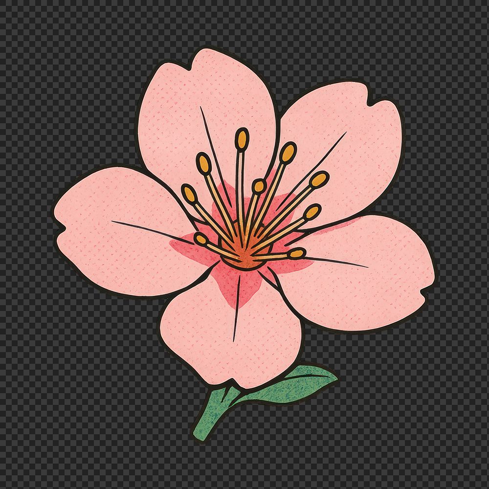 Japanese Cherry Blossom Graphic Background Images | Free Photos, PNG ...