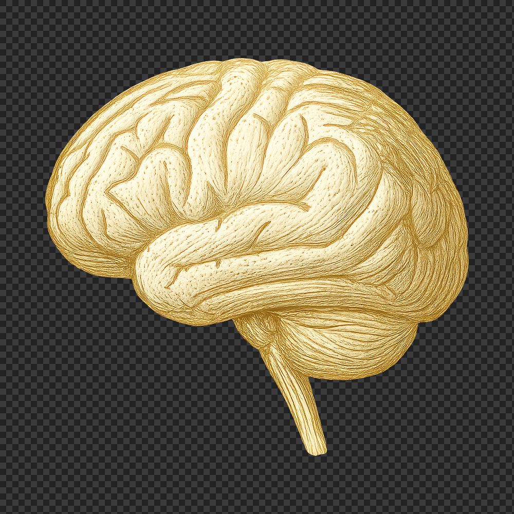 Brain+logo Design Images | Free Photos, PNG Stickers, Wallpapers ...
