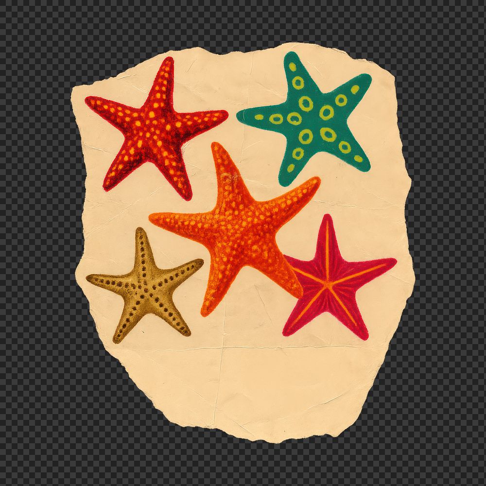 Vintage Marines Aesthetic PNG Paper Images | Free Photos, PNG Stickers ...