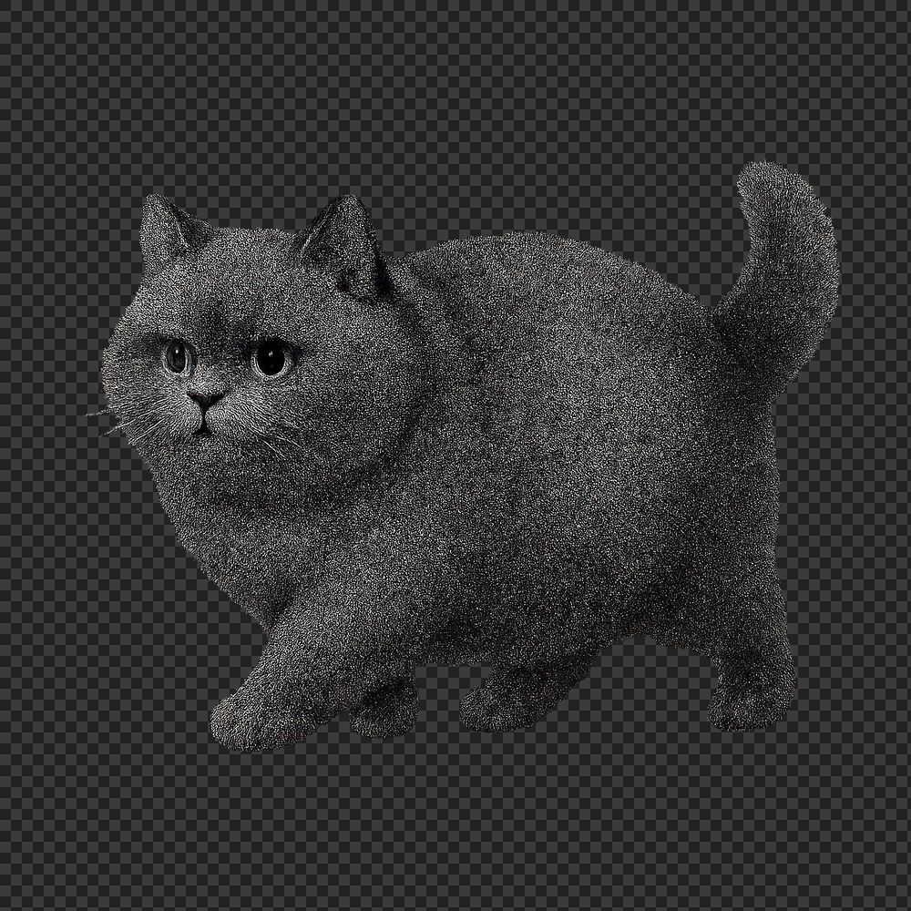 Detailed Cat Illustration PNG Images | Free Photos, PNG Stickers ...