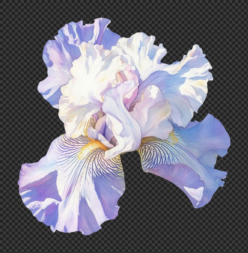 Iris+illustration Floral Images | Free Photos, PNG Stickers, Wallpapers ...
