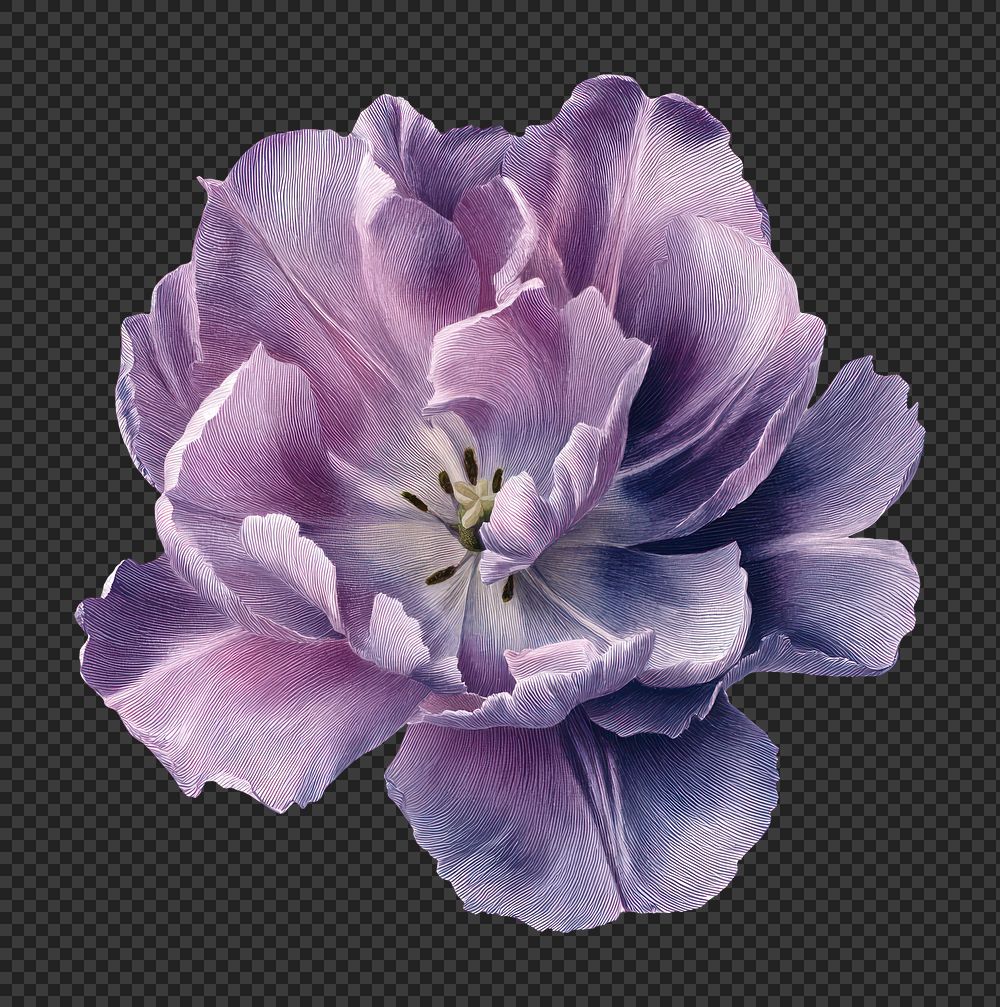 Cool+and+ Illustration Design Shape Images | Free Photos, PNG Stickers ...