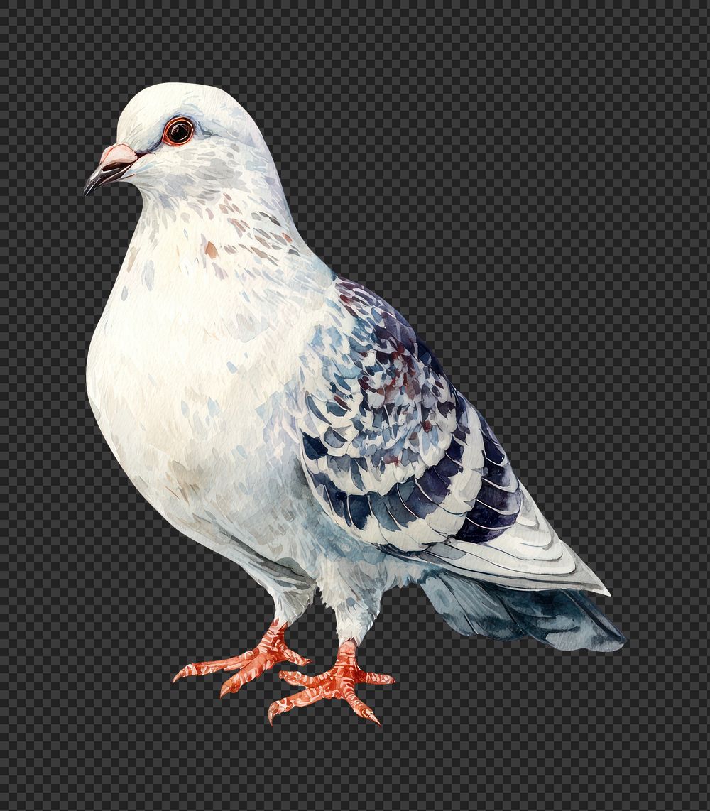 Dove Shadow Design Images | Free Photos, PNG Stickers, Wallpapers ...