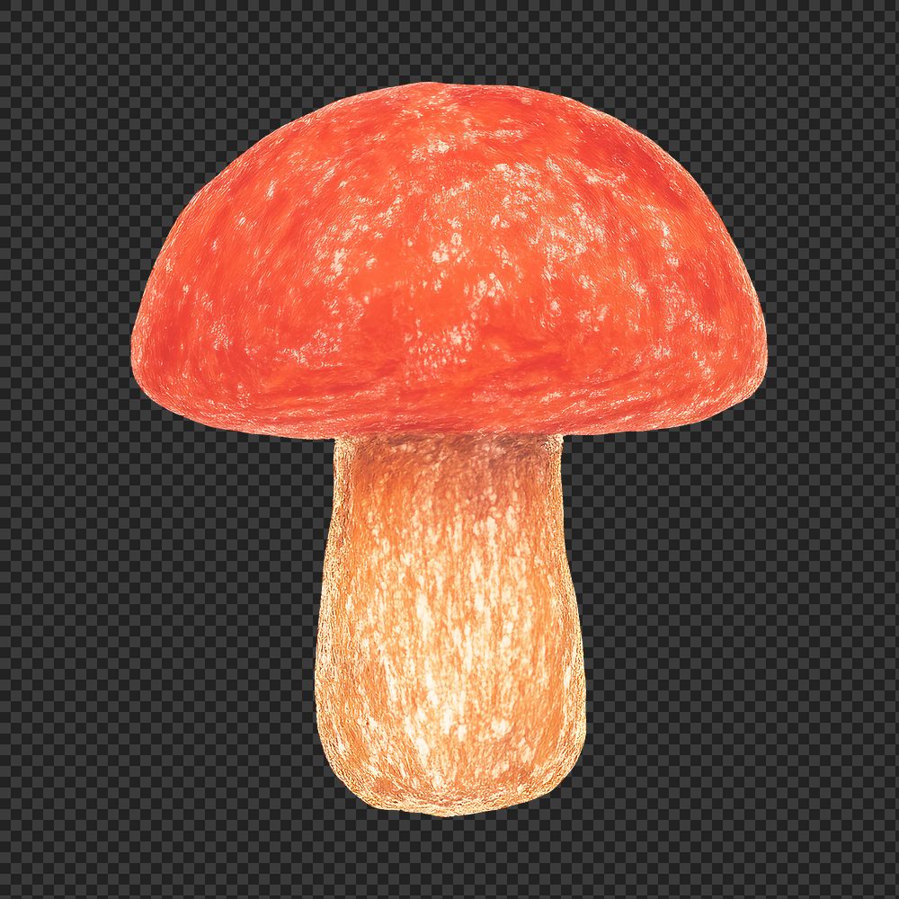 Cap PNG Cartoon Images | Free Photos, PNG Stickers, Wallpapers ...