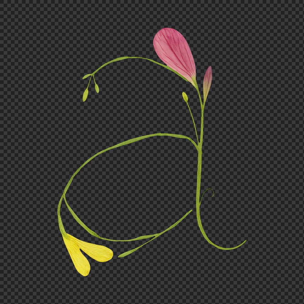 Flower Arrangement Yellow Design Images | Free Photos, PNG Stickers ...