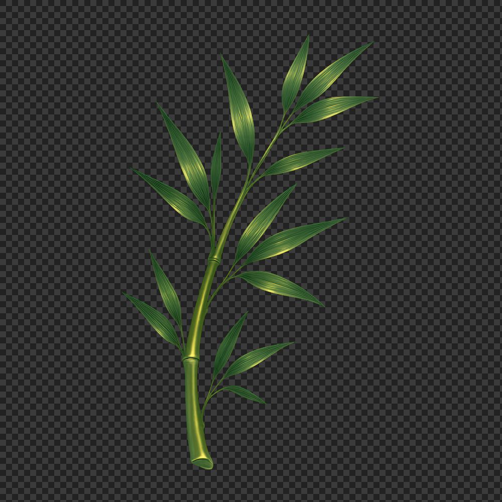 Long Branch Leaves Shadow Images | Free Photos, PNG Stickers ...