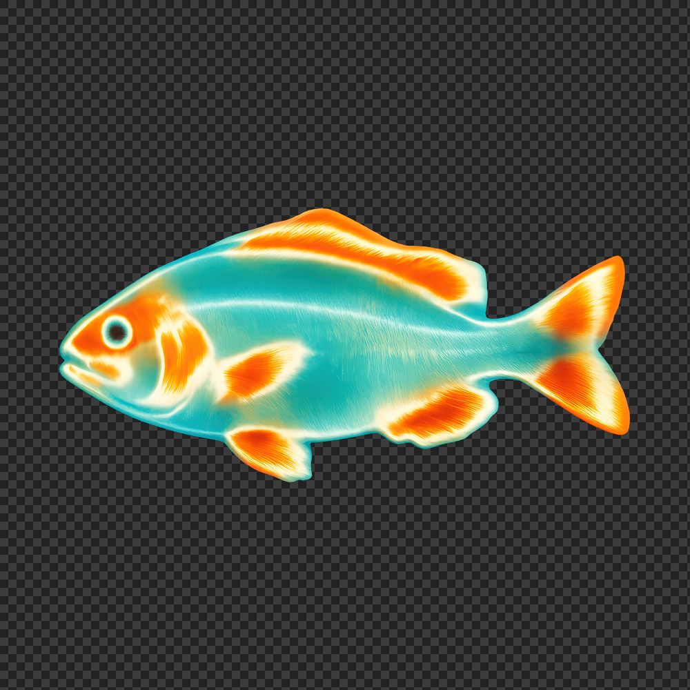 PNG Glowing Fish Background Images | Free Photos, PNG Stickers ...