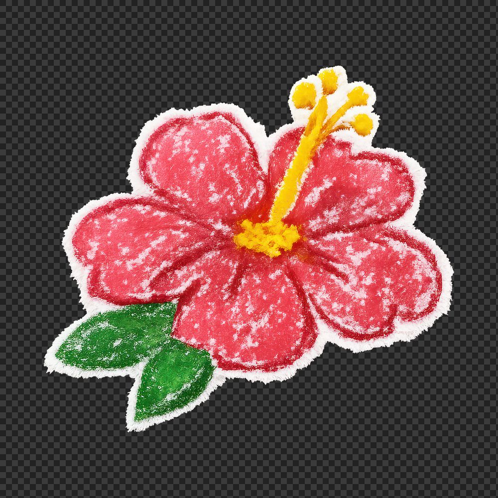 Hand Illustrated Plant Background Images | Free Photos, PNG Stickers ...