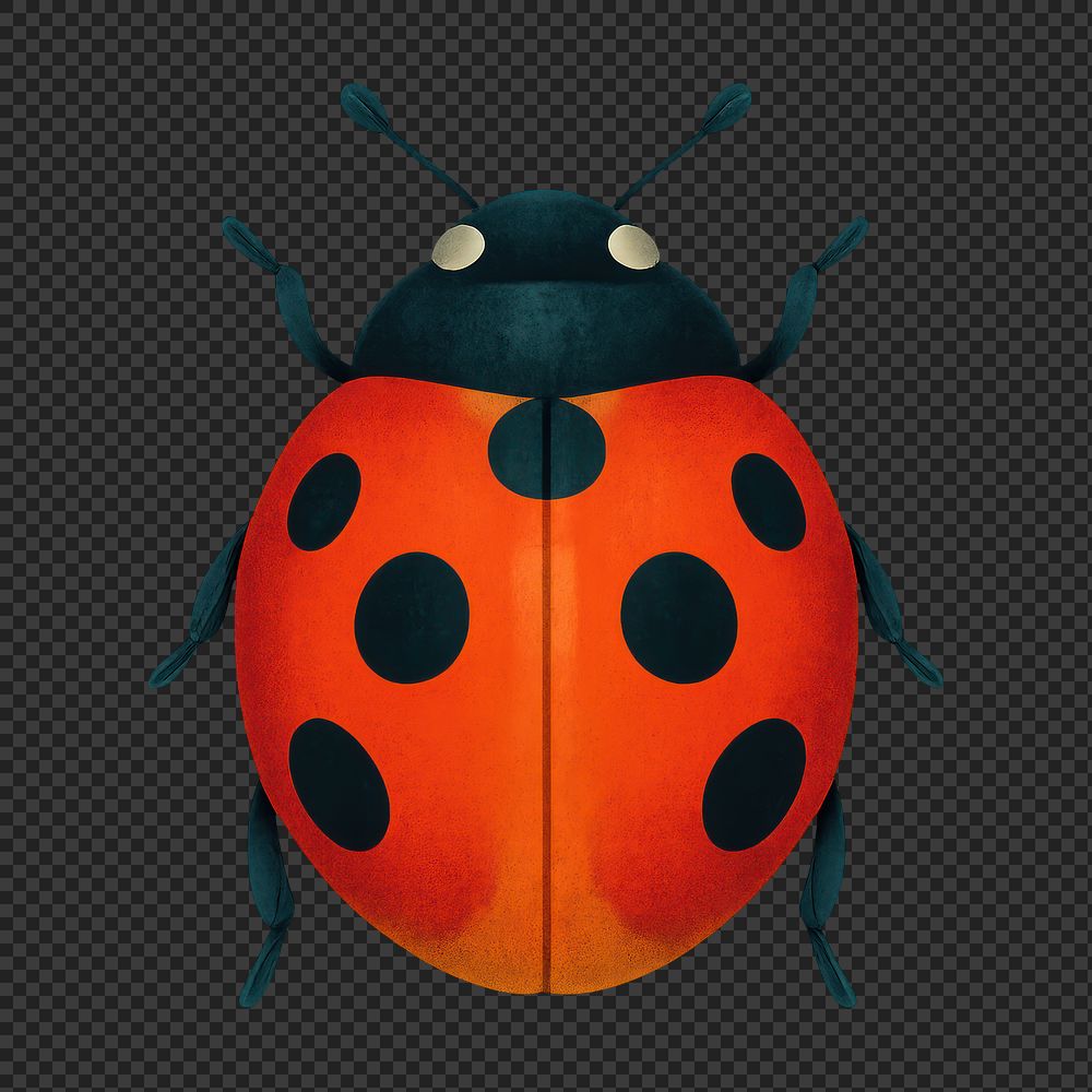 Vintage Insects Black And White Design Images | Free Photos, PNG ...