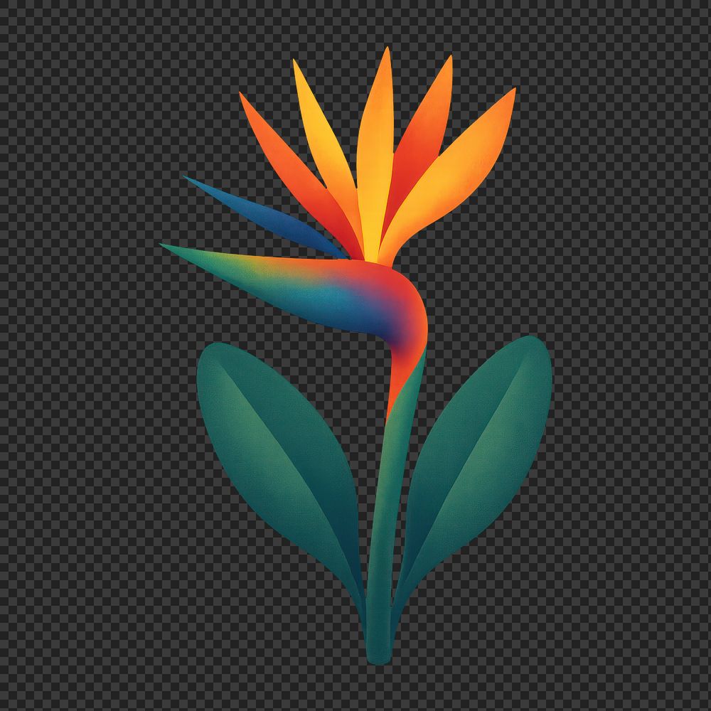 Bird Print Art Drawing Images | Free Photos, PNG Stickers, Wallpapers ...