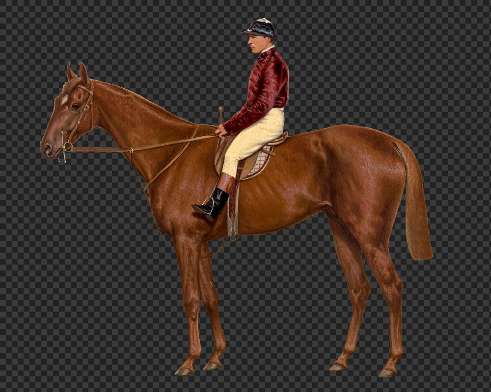 Horse Portrait Background Animal Nature Images | Free Photos, PNG ...